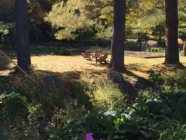 Home - Brian L. Weiss, MD